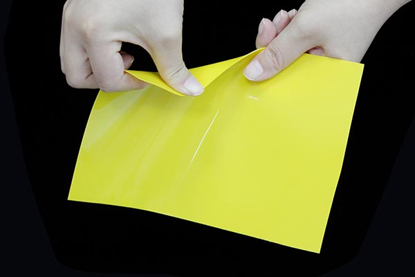 PP sheet roll manufacturer in China (Polypropylene sheet roll)