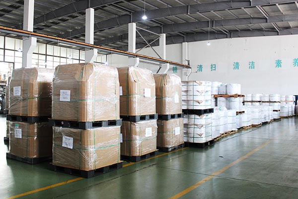 PP sheet roll manufacturer in China (Polypropylene sheet roll)