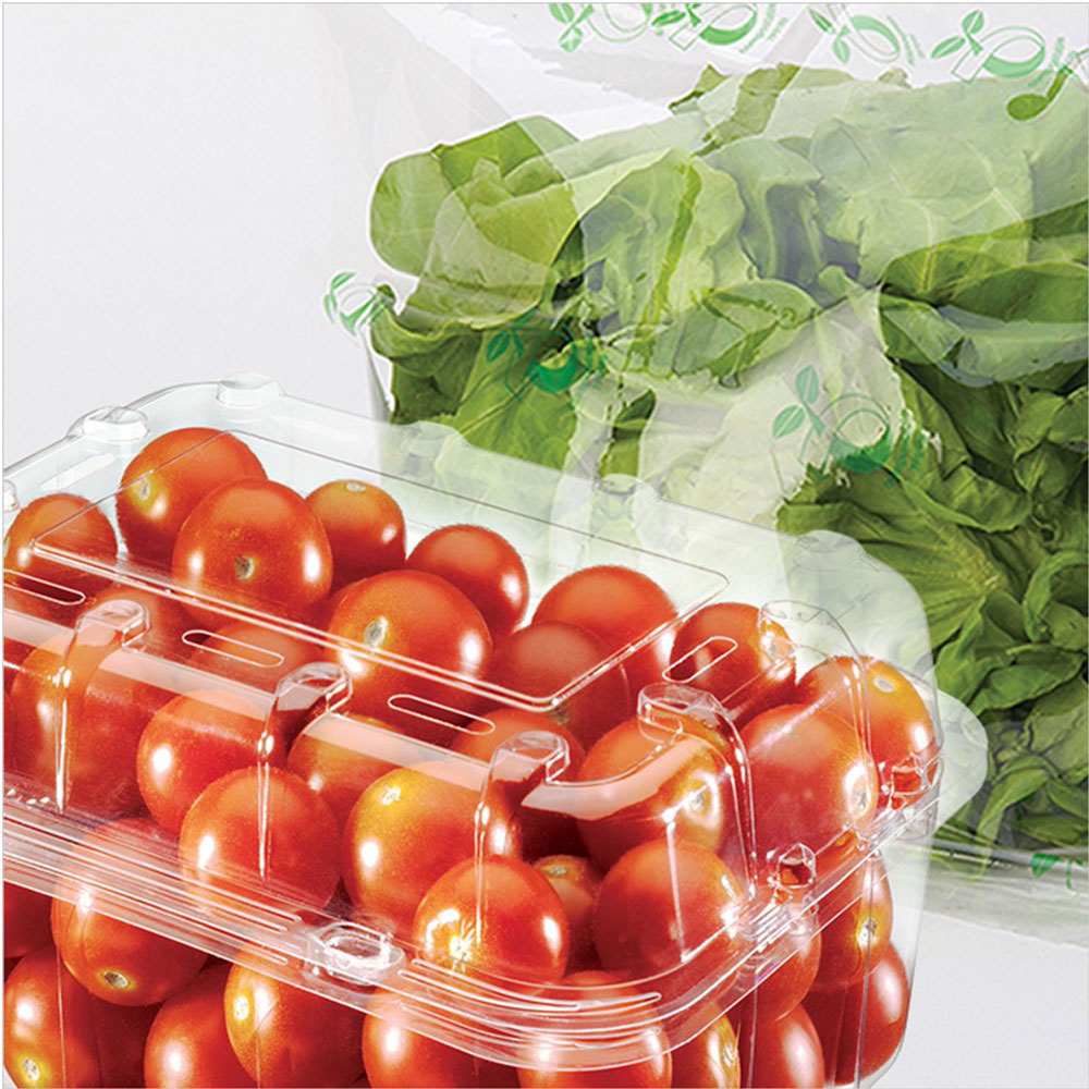 PET plastic sheet rolls for fruit and vegetable packaging ...